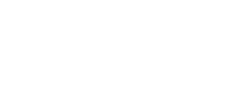 BAGIRA – BAGIRA artist and muralist of Curacao